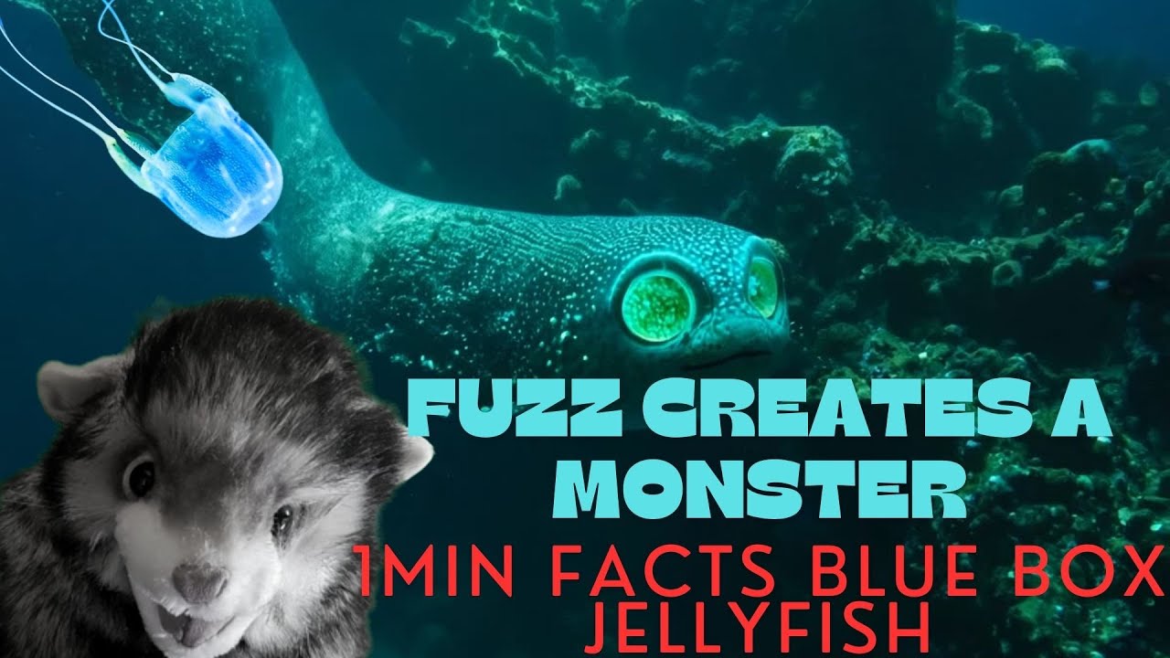 1MIN FACTS ABOUT THE BLUE BOX JELLYFISH, FUZZ CREATES A MONSTER! - YouTube