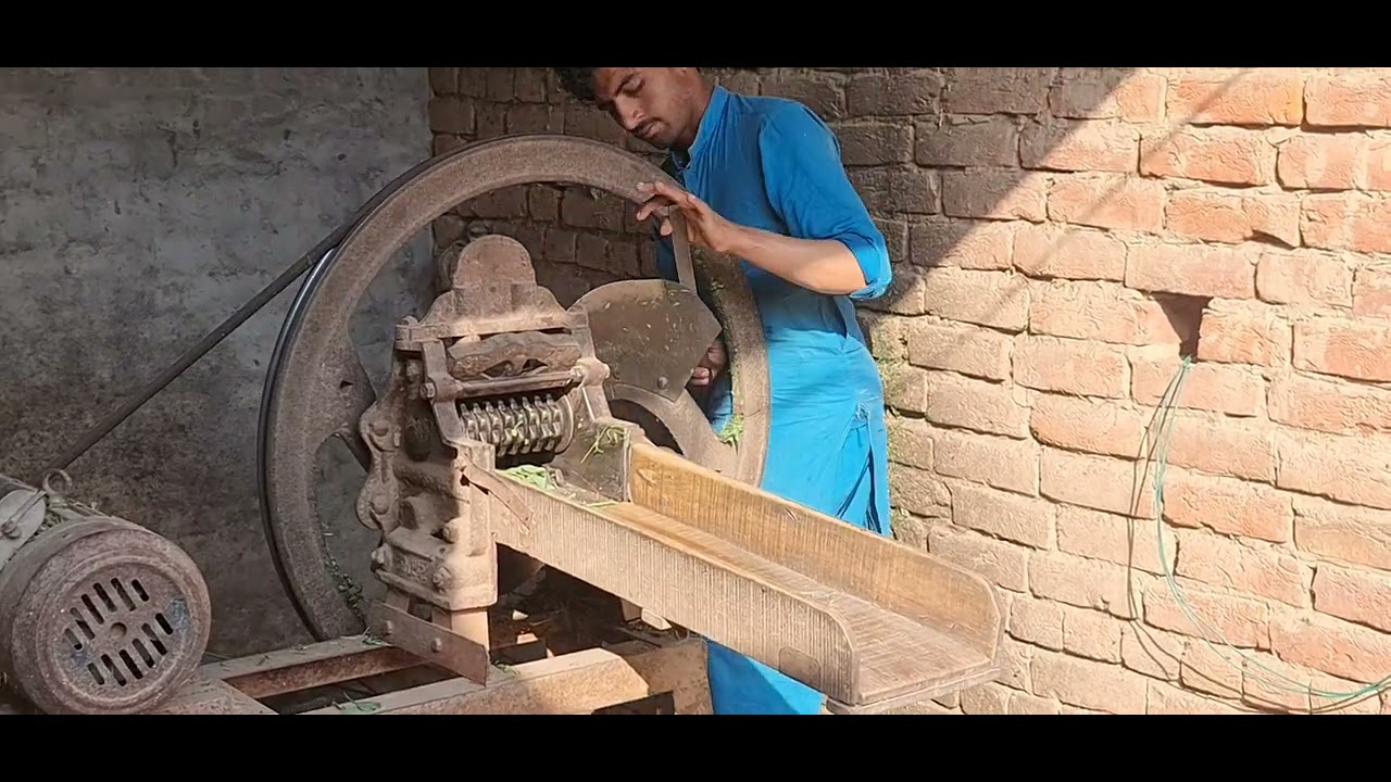 sona punjab U.A Pakistan 🇵🇰 punjab Pinda wale #my #video #foryou - YouTube