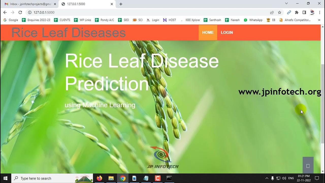 Rice Leaf Disease Prediction Using Machine Learning | Python Final Year IEEE Project - YouTube