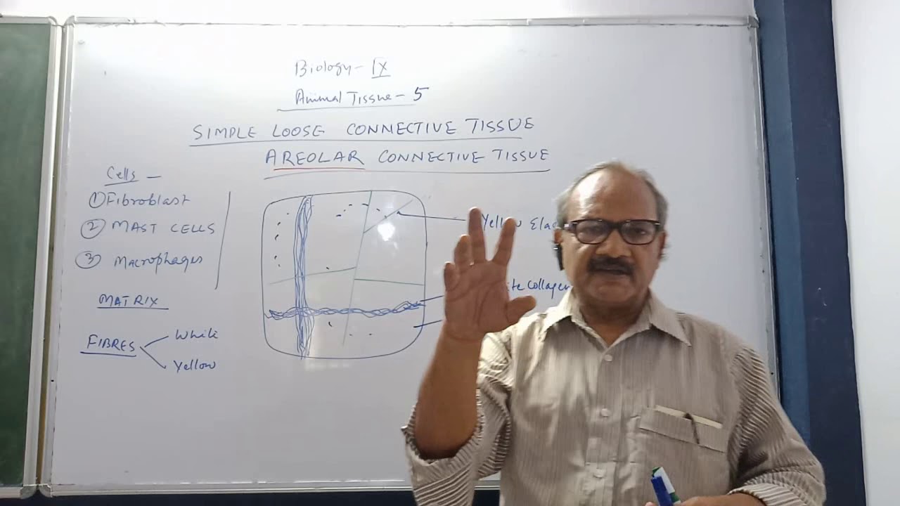 Tissue Class 9th Part 5 YouTube tissue-class-9th-part-5-youtube