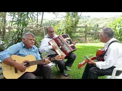 Hino CCB 102 sinto a voz Divina. - YouTube