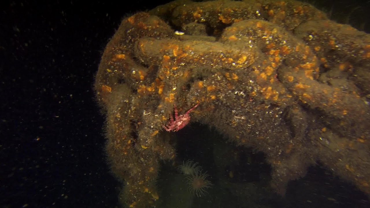 Blücher 11.1. 2014 - YouTube