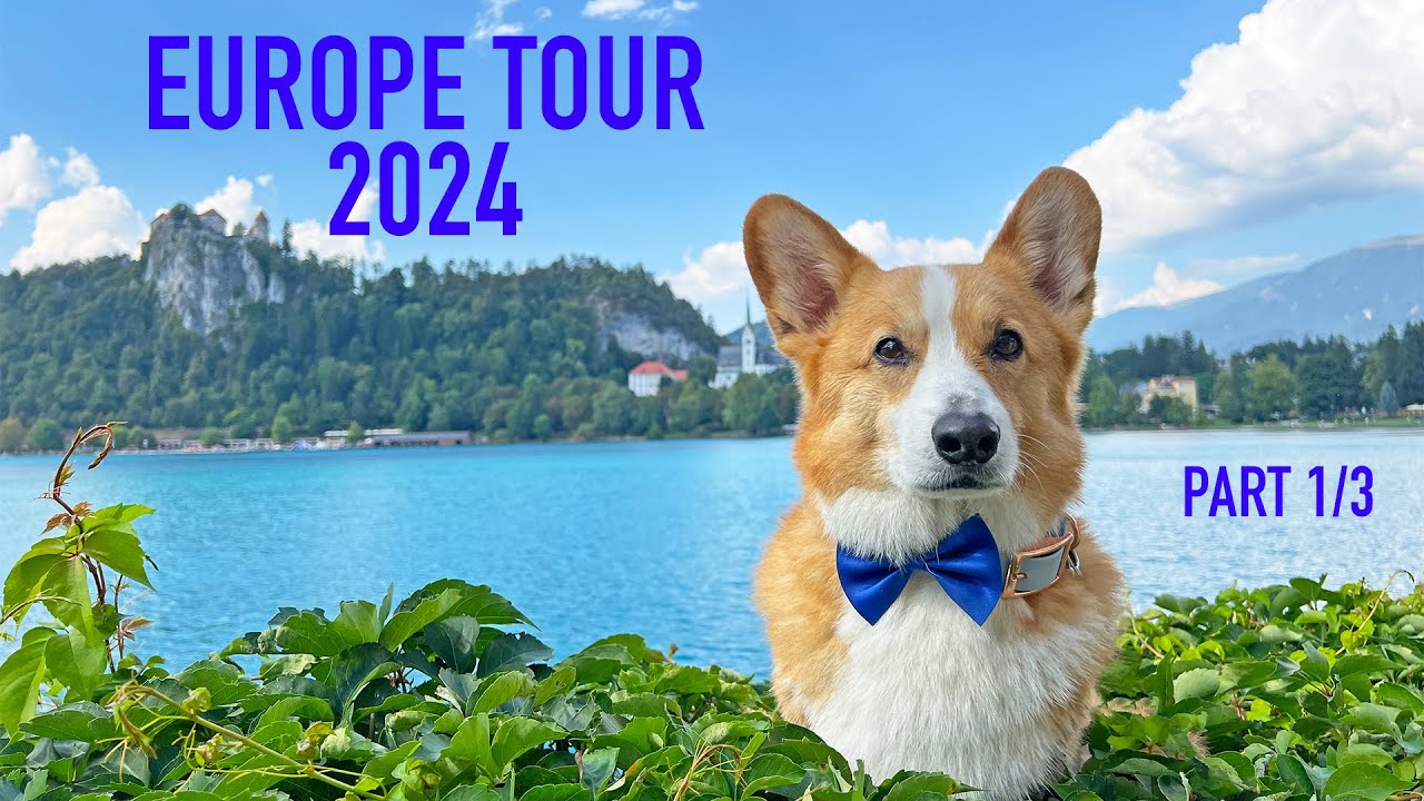 TRAVELING THE WORLD! - Topi the Corgi - YouTube