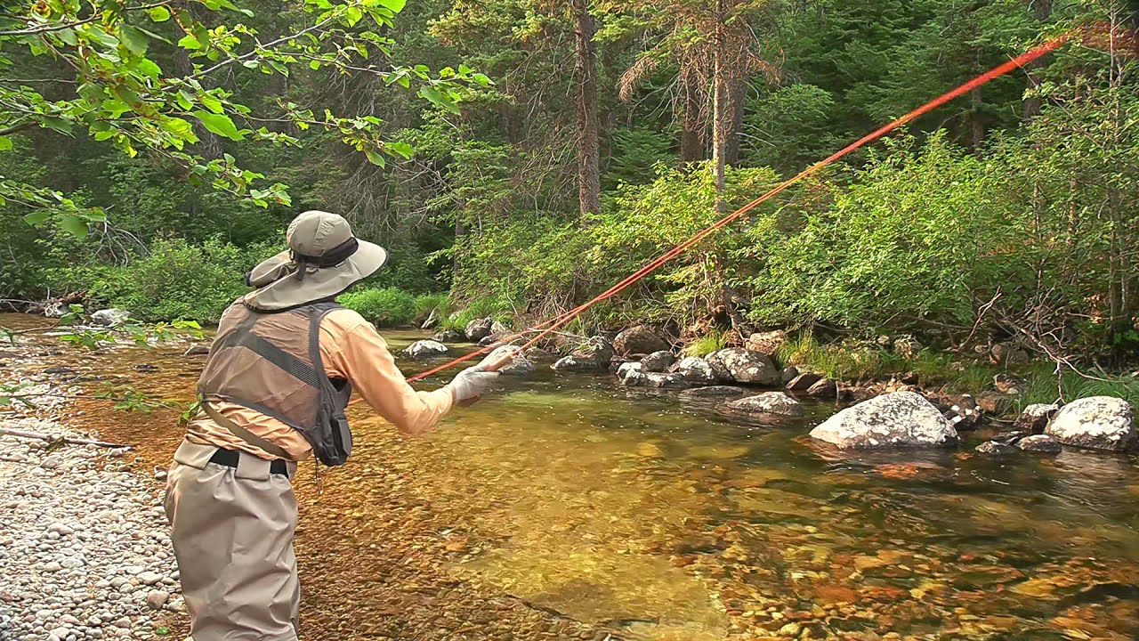 Fly Fishing Tin Cup Creek in Montana - YouTube
