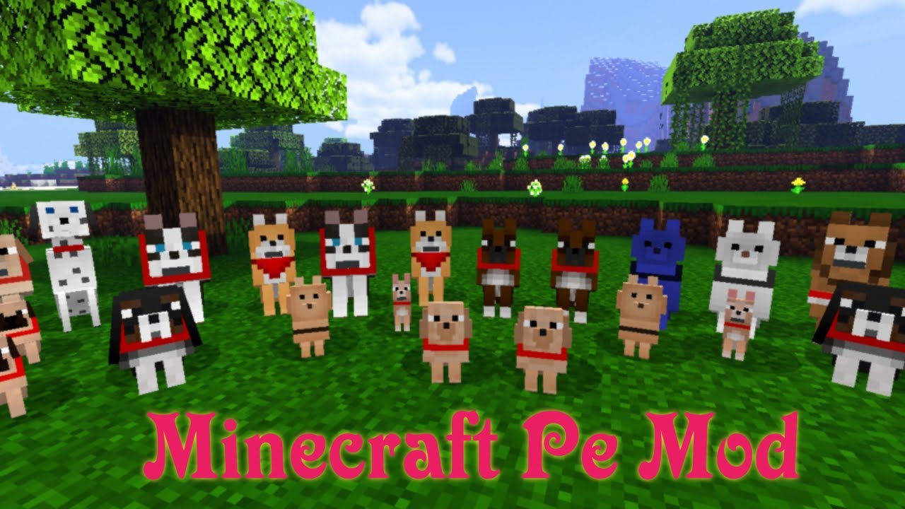 Mod Doggos en Abundancia para Minecraft Pe - YouTube