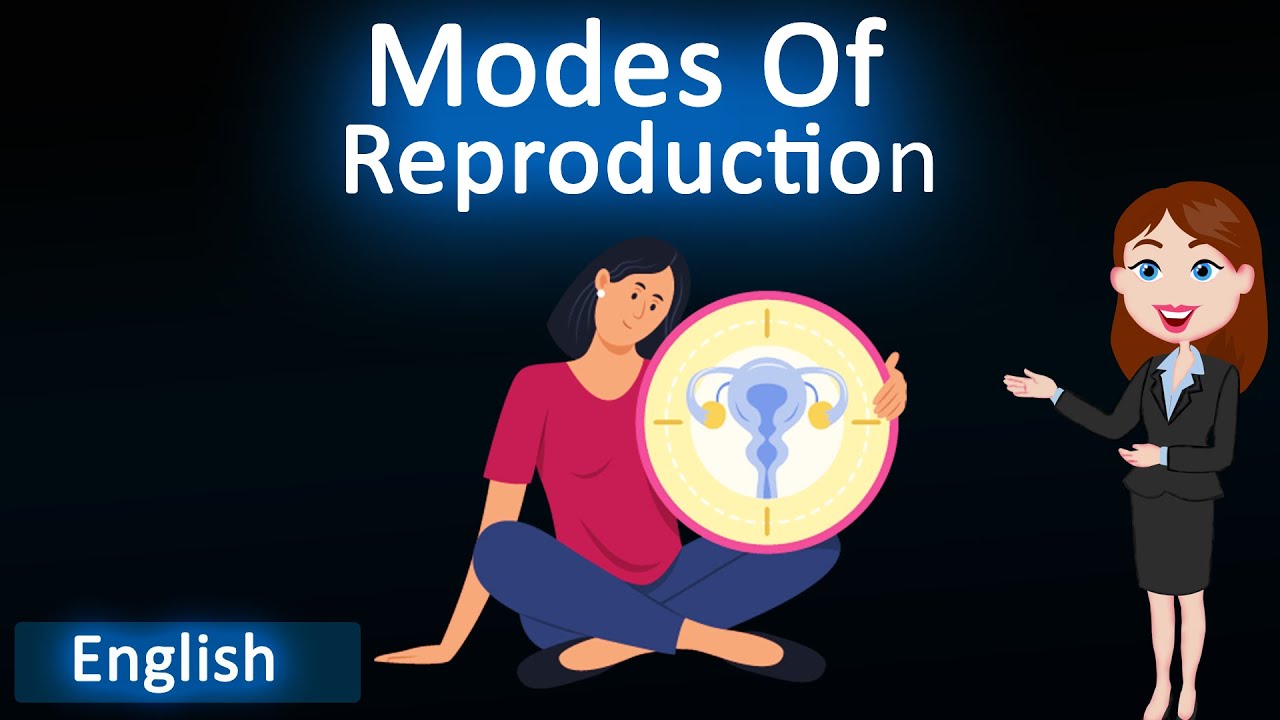 Modes of reproduction || 3D animated explanation || class10th science ...