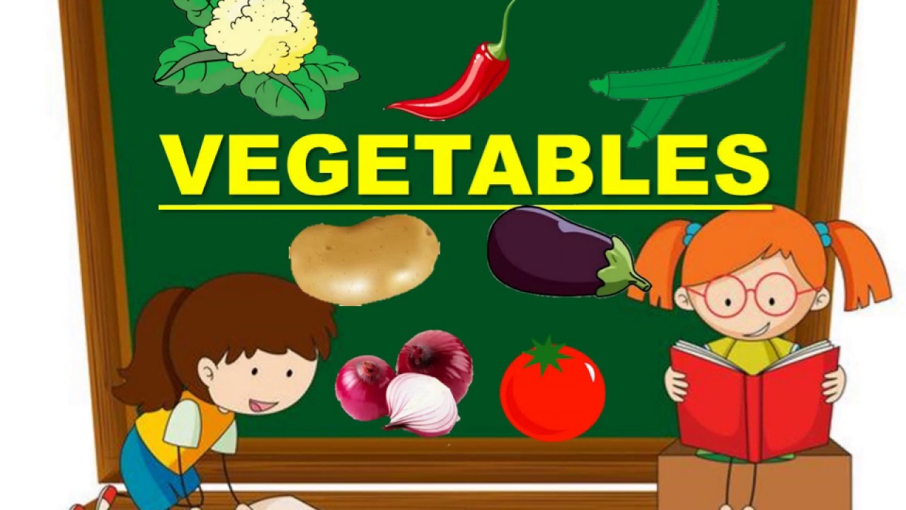 VEGETABLES LESSON PLAN ON VEGETABLES HOW TO TEACH A CHILD VEGETABLES VEGETABLES LESSON PLAN ON VEGETABLES HOW TO TEACH A CHILD VEGETABLES