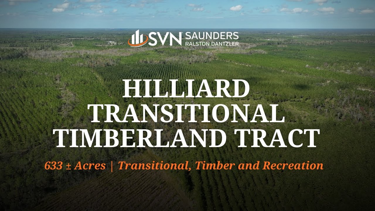 Florida Timber Tract For Sale | Hilliard Transitional Timberland Tract ...