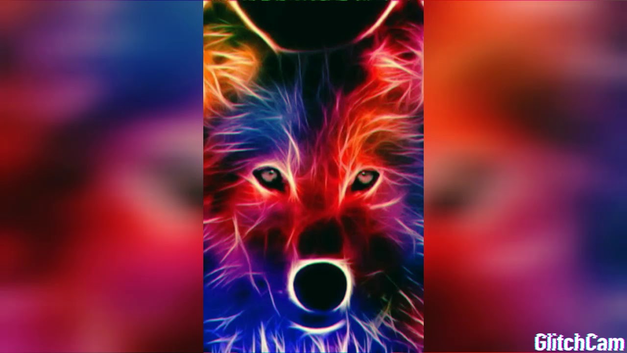 El lobo de colores - YouTube