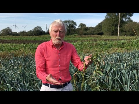 Redshank and Knotgrass with John Feehan in September, Wildflowers of ...