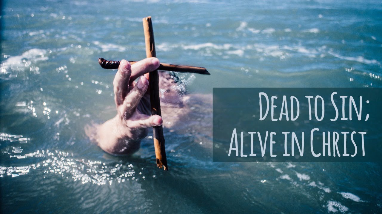Dead to Sin; Alive in Christ - YouTube