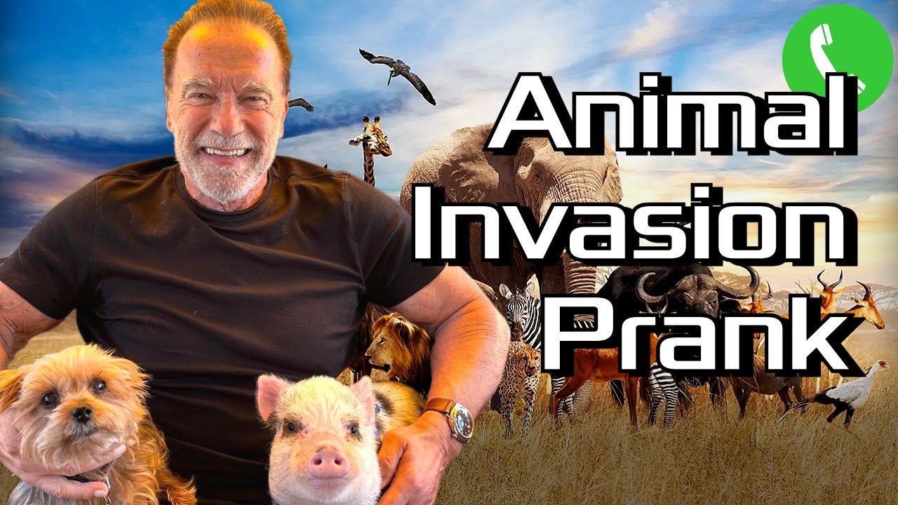 Animals Invade Arnold's House - Prank Call - YouTube