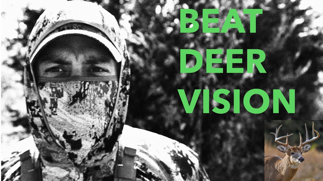 Deer Vision Secrets That Will Change How You Bowhunt - YouTube