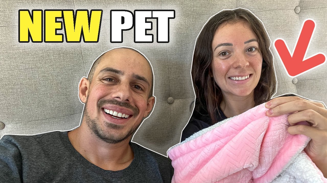 We Got a New Pet - YouTube