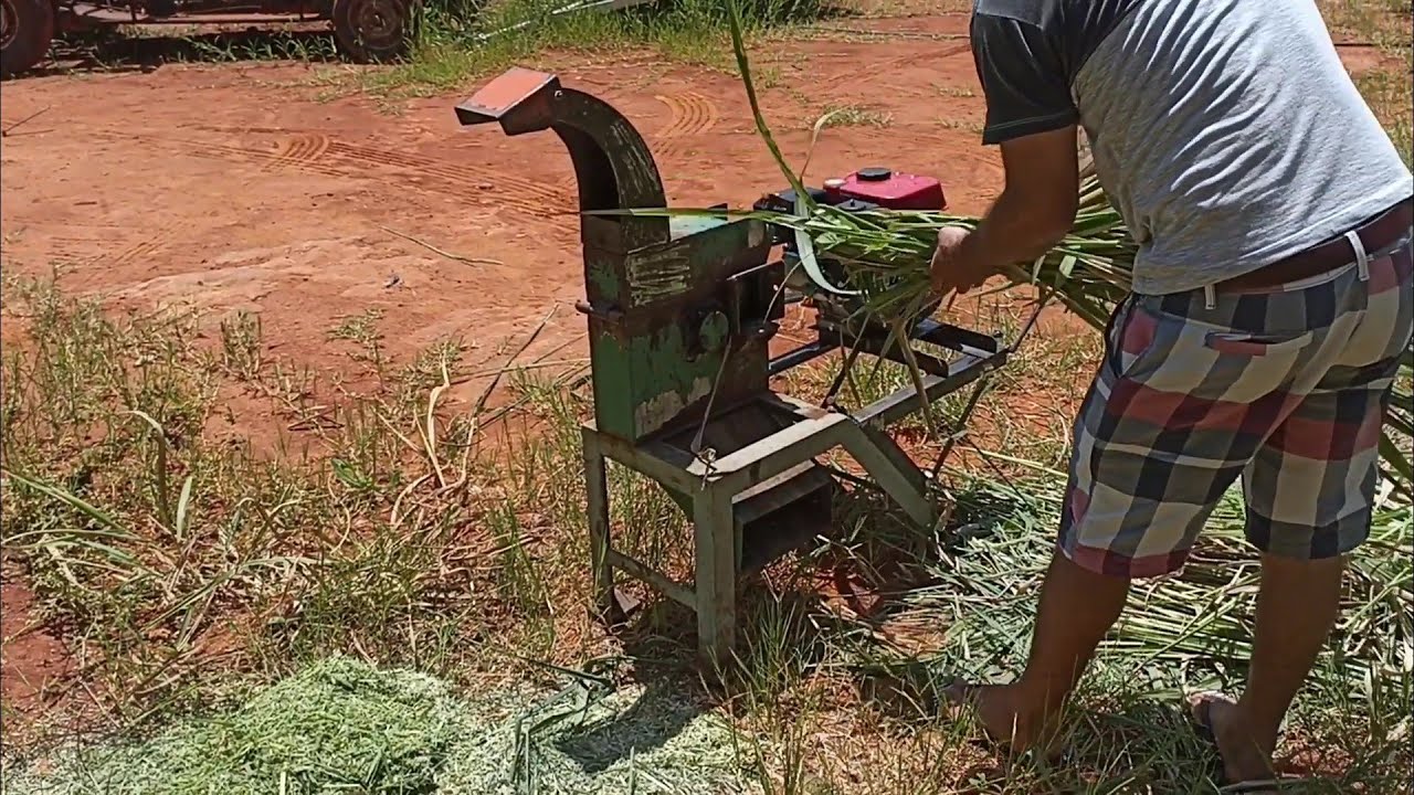 Liguei a forrageira com motor Estacionário pela primeira vez e fiz o ...