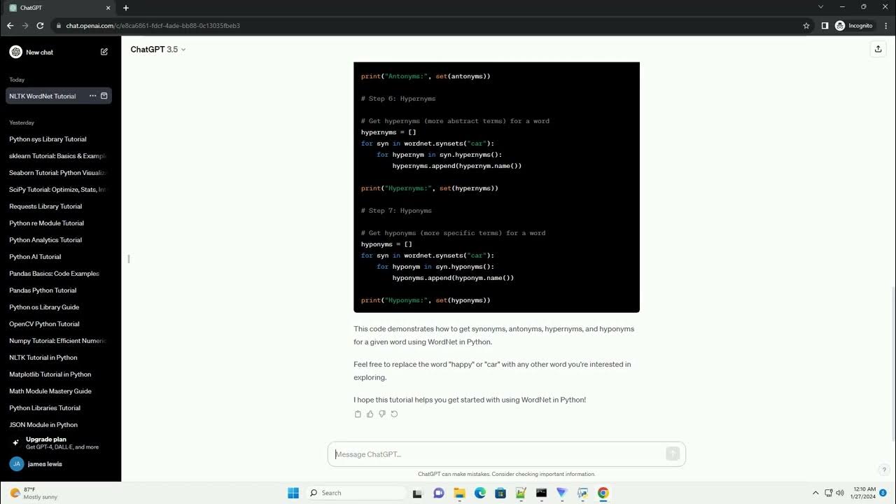using wordnet in python - YouTube