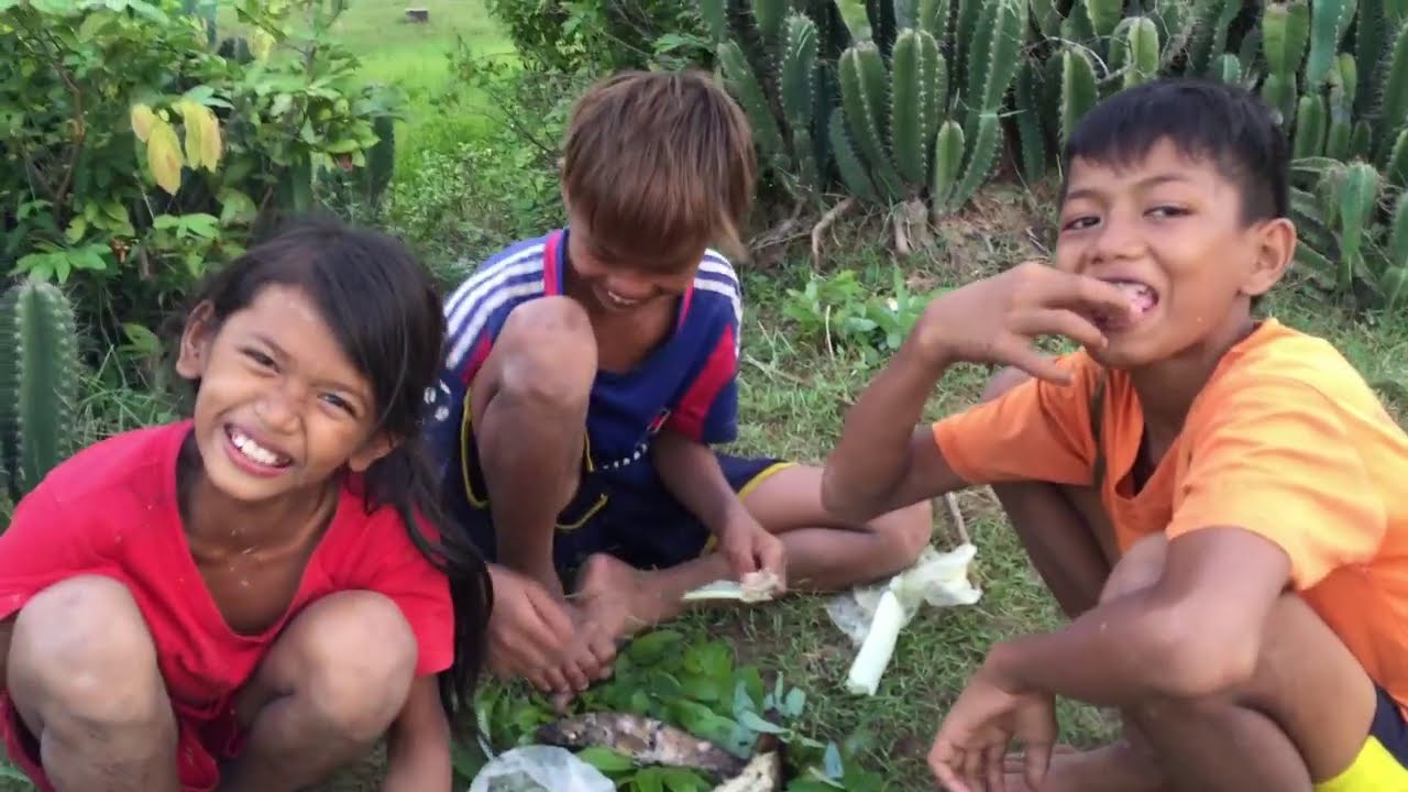Amazing Children Fishing - How to Catch Fish by Hand in Rice Field ...