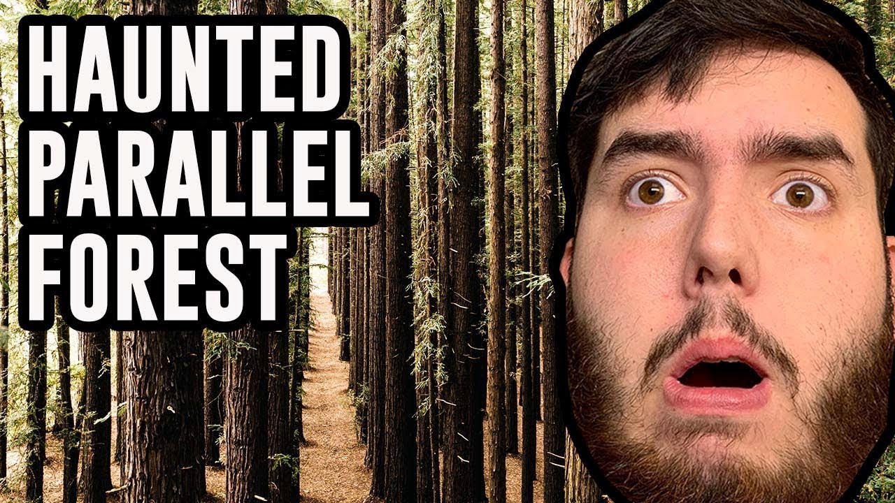 EXPLORING THE HAUNTED PARALLEL FOREST! (We were almost attacked) - YouTube