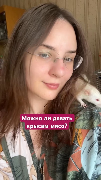 МЯСО ДЛЯ КРЫС 🐀 МОЖНО ЛИ ☺️ крыса крысы крысята Youtube