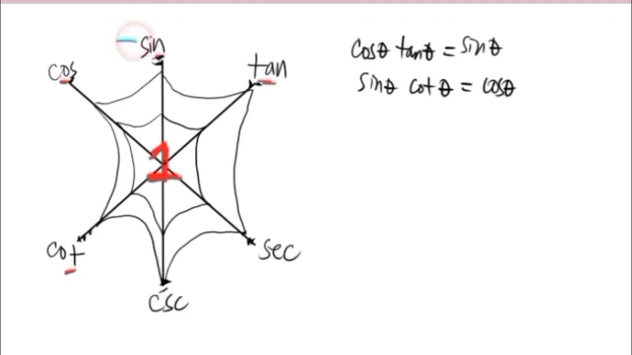 Basic Trigonometric Identities. Multiplication and Division Spider Web ...