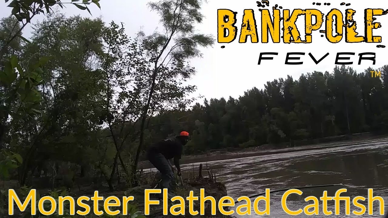 Bank poles for MONSTER Flathead catfish-Bank poles for catfish - YouTube