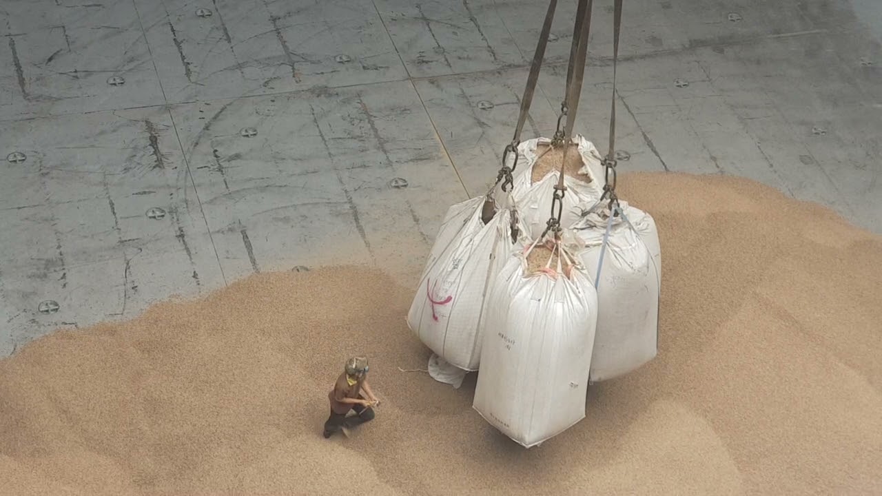 LOADING OF WOOD PELLETS IN OUR SHIP DAY 1 - YouTube