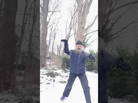 zhung te goa cu hui jong she xu ih zhi chin wu di tuo zhung te gu lun ...