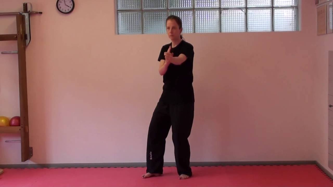 Wing Chun - Gan Sao - Tan Sao - Huen Sao - Pak Sao mit Tina Luethi ...