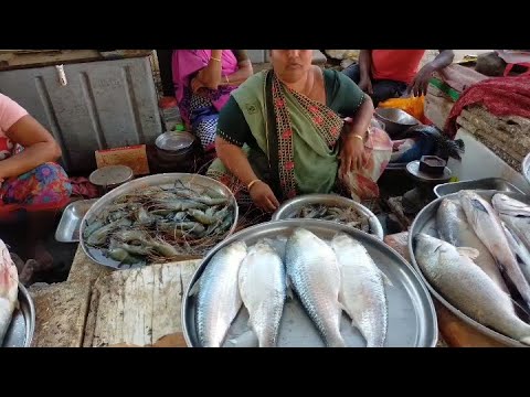 Gujarat live fish market। ilish fish। fish lover - YouTube
