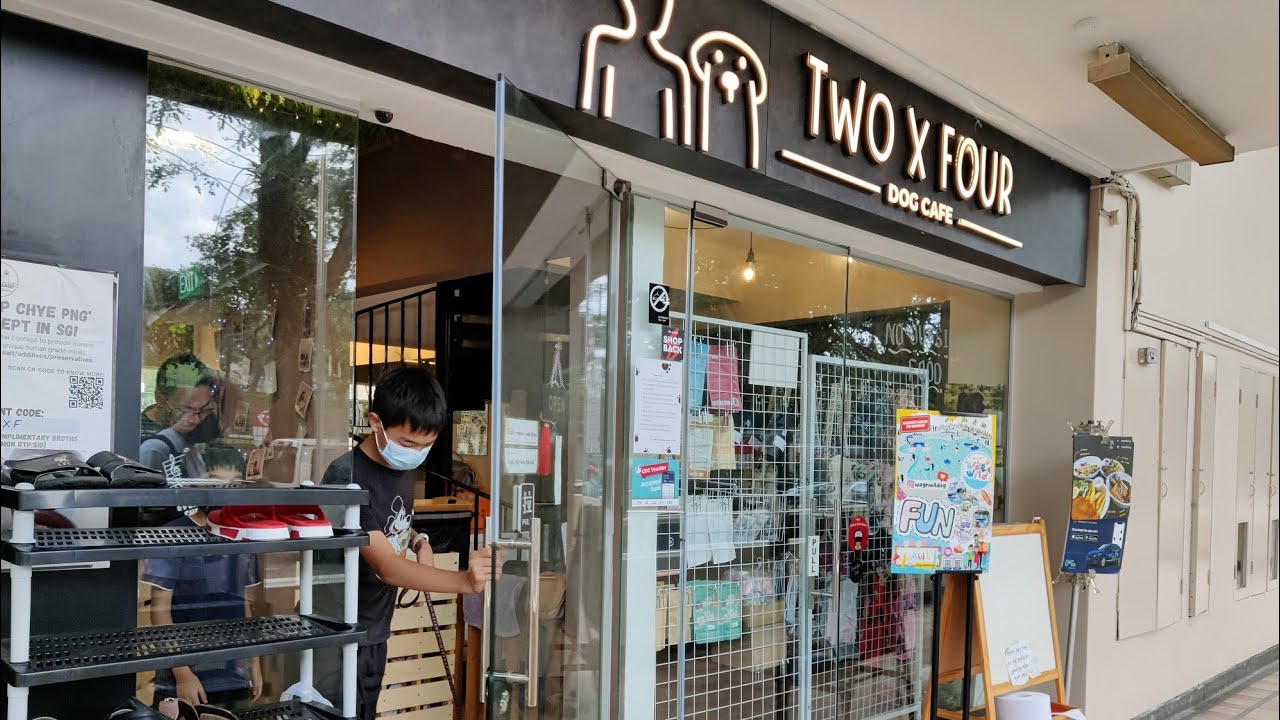 TWO X FOUR CAFE • Dog cafe in Singapore - YouTube