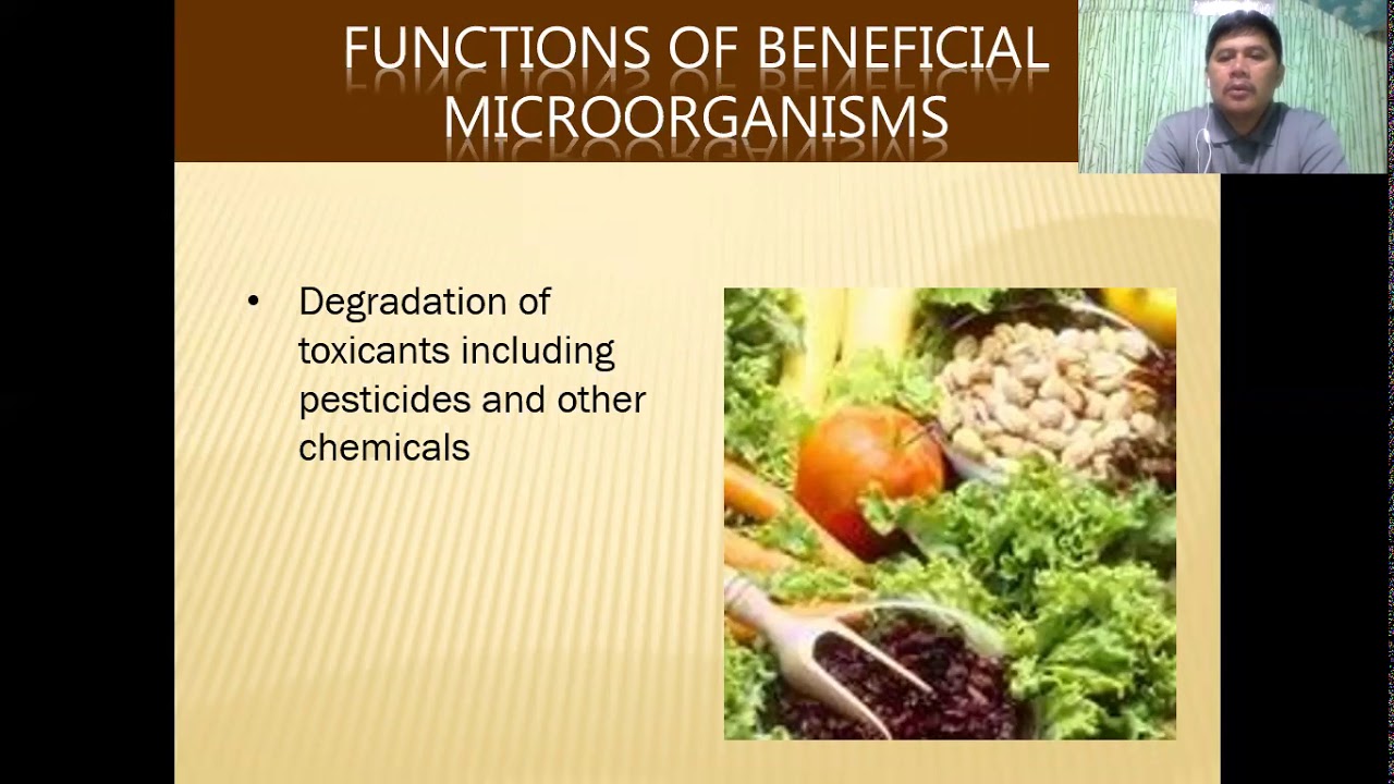 Part 1 Introduction to EM Technology - YouTube