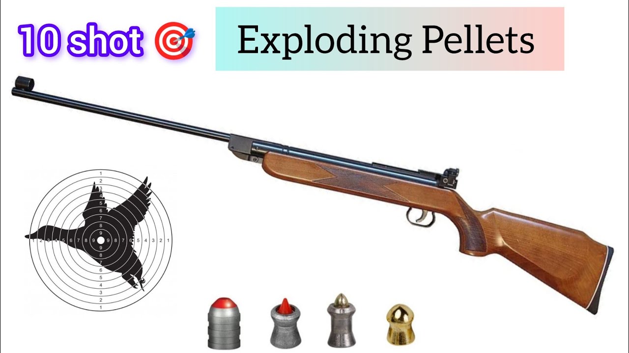 Exploding Pellets in Airrifle||Airgun.5mm||. 10 shots by airgun banduk ...