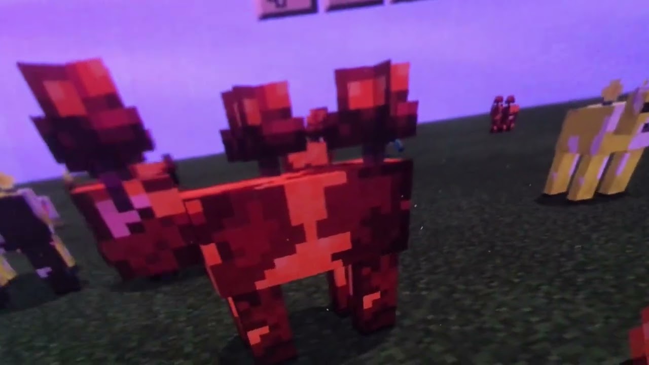 I Spawn Crimson Mooshroom, Warped Mooshroom & Moobloom In Minecraft ...