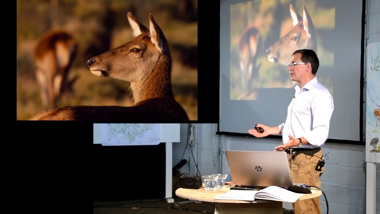 Knepp "Freeing the Landscape": Vera Talks - David Balharry - YouTube