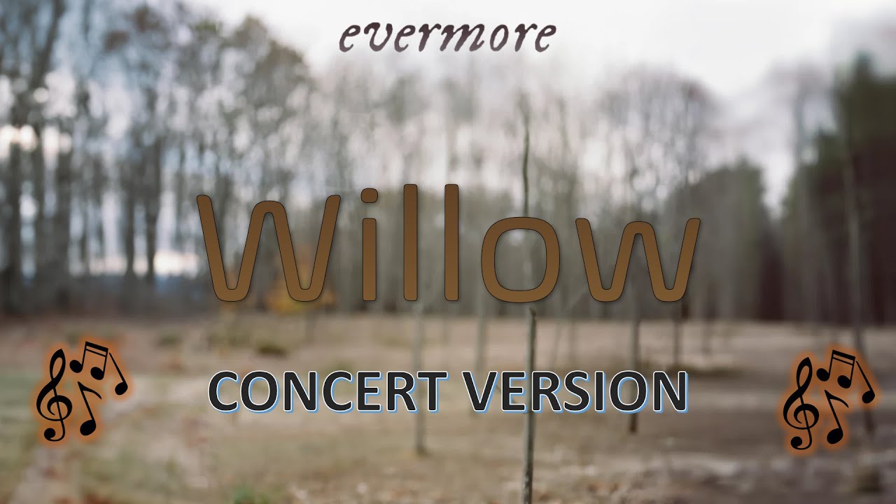 Taylor Swift - Willow (Concert Version) - YouTube
