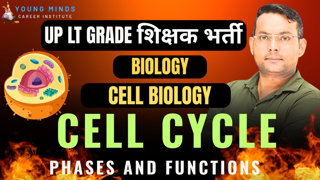 UP LT GRADE | CELL BIOLOGY | Cell Cycle and It's Phases - YouTube