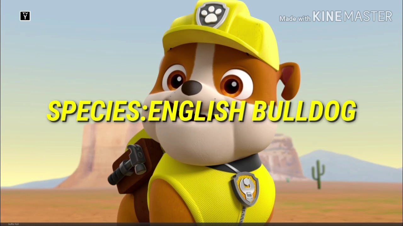 💛ABOUT RUBBLE💛 - YouTube