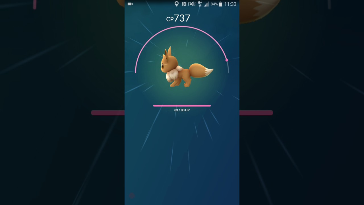 TAMAO EVOLUTION POKEMON GO - YouTube