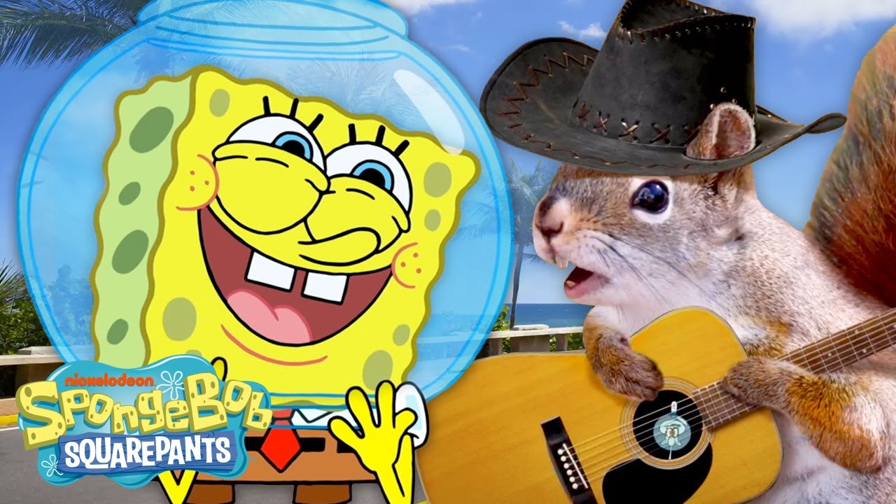 SpongeBob On DRY LAND for 10 Minutes Straight | @SpongeBobOfficial ...