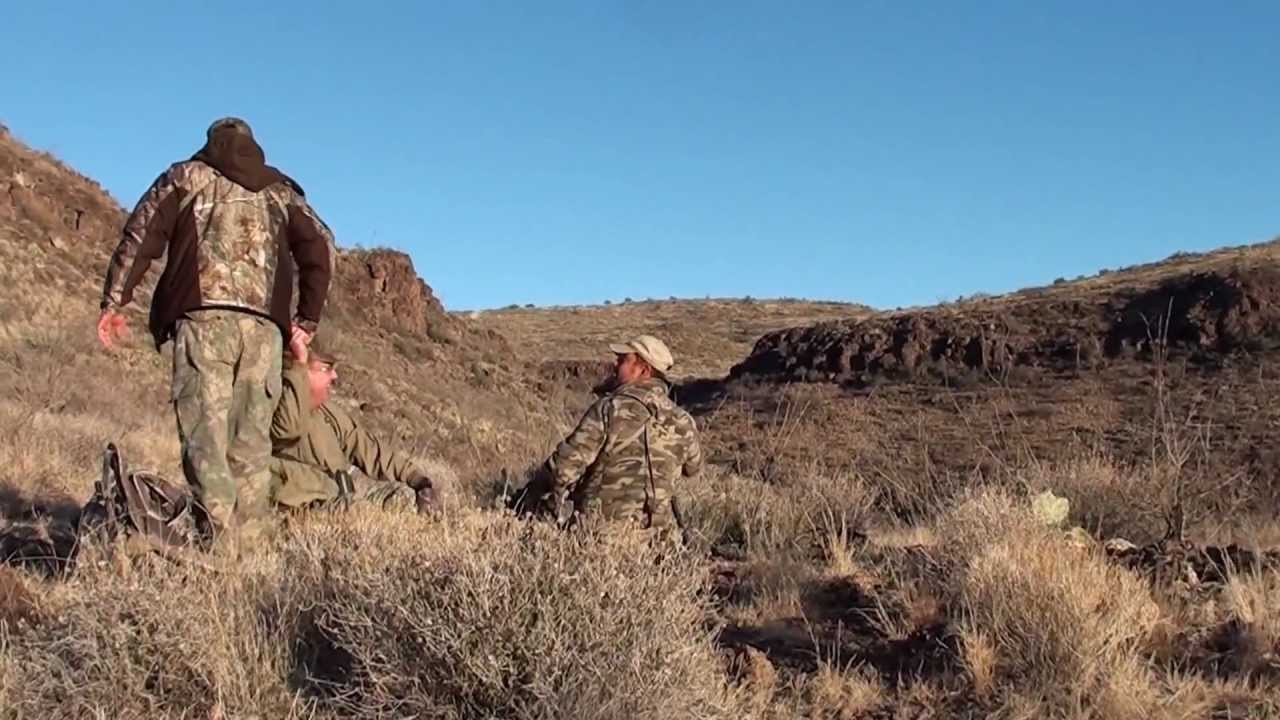 Brad Whites Barbary ram - YouTube