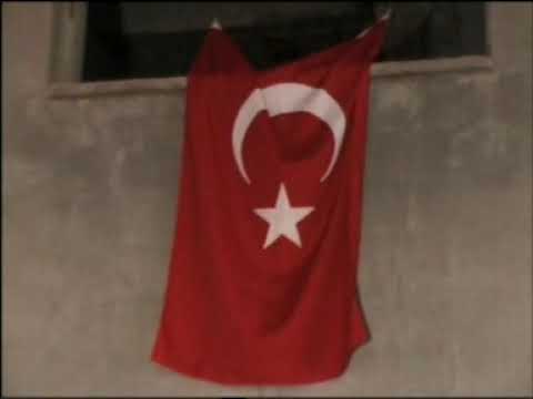 ceylanpinar ceylan asiretinin dügün töreni 2