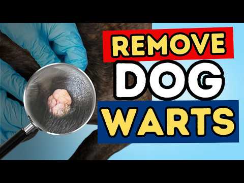 How to Remove Dog and Cat Warts Naturally (No Surgery)