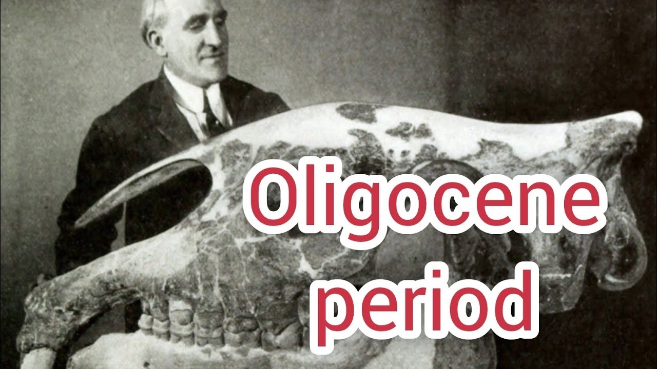 Oligocene period: Evolution of Modern mammalian's Ancestors (Part 20 ...