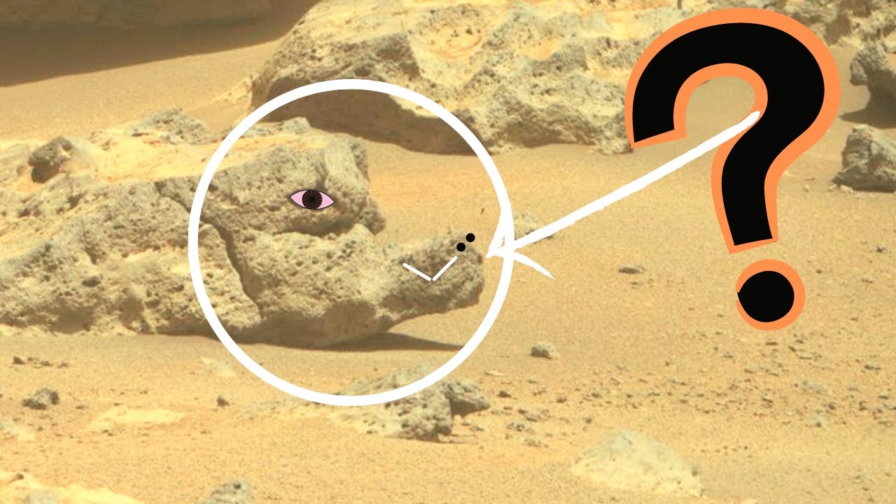 [#MARS]-Latest Images from NASA Mars Planet Alligators/Crocodiles BY ...