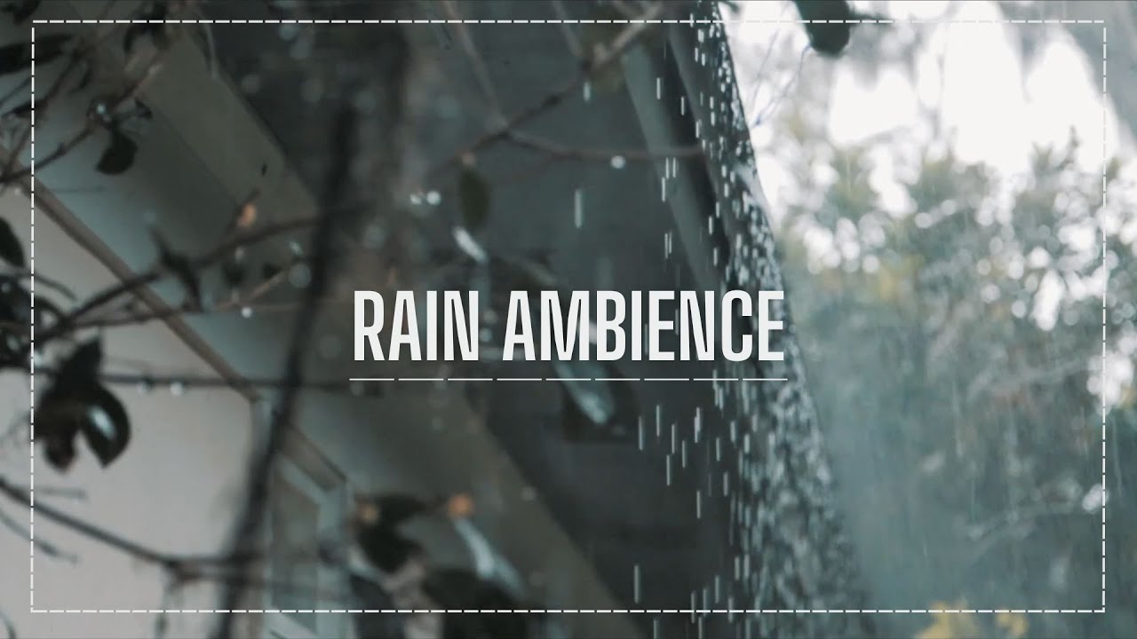 RAIN AMBIENCE | CALM | Nature Sounds | Relaxation, Meditation, Bed ...