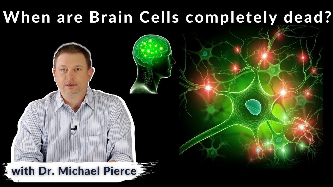 When are brain cells completely dead? - YouTube