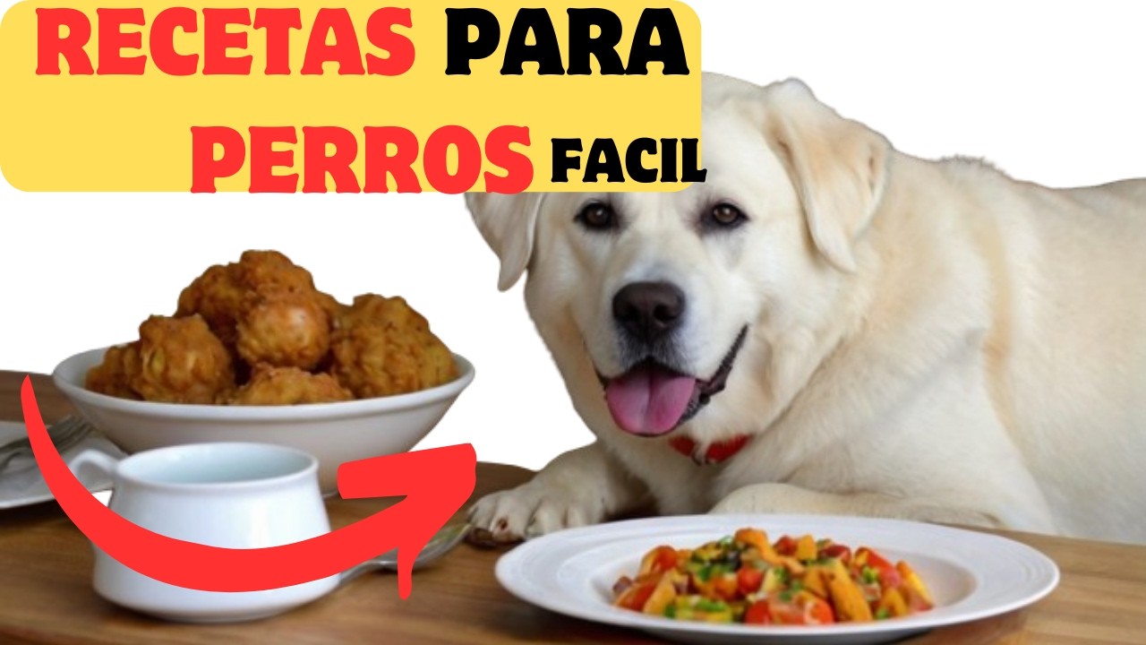 🐶 COCINANDO para mi PERRO,ALIMENTO , perro,recetas para perros,dieta ...