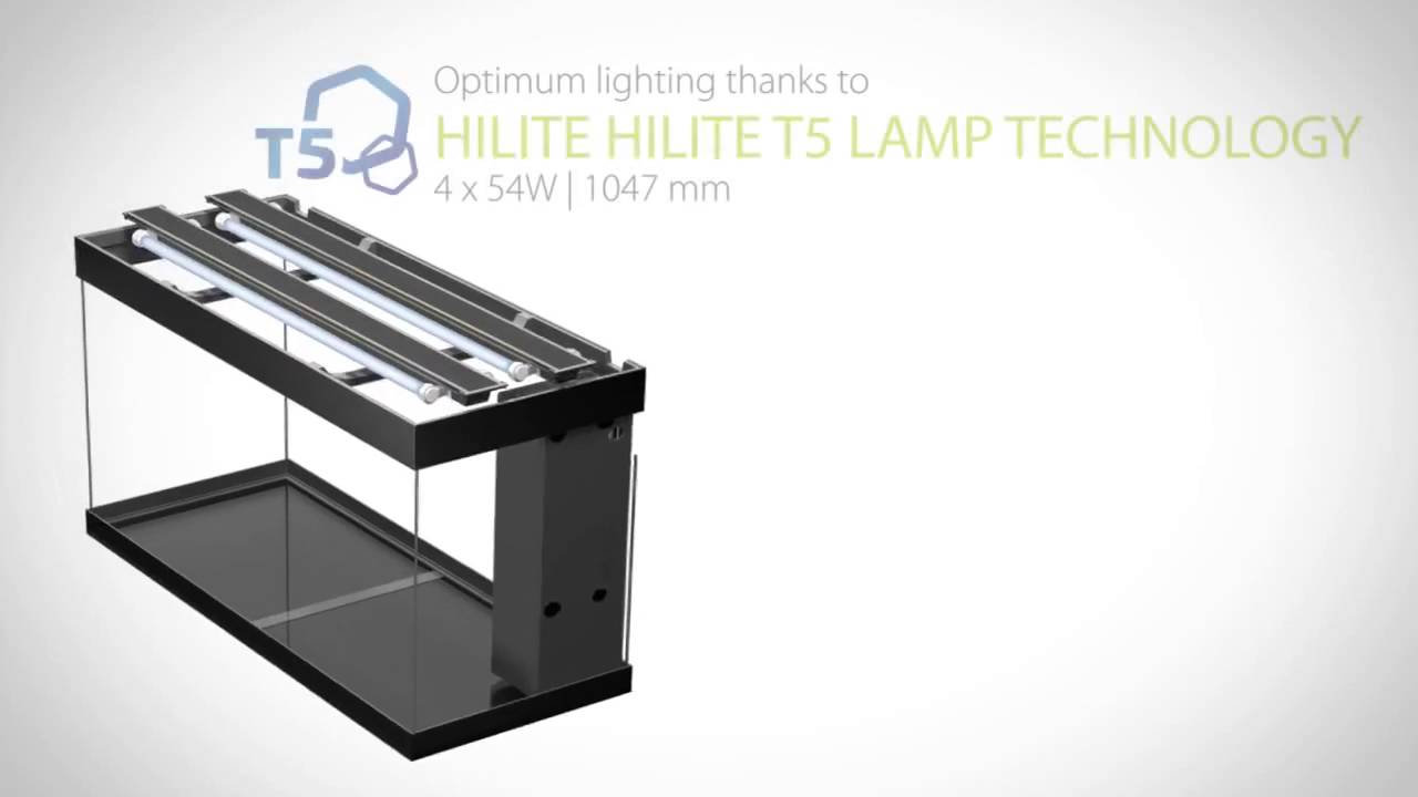 Juwel Aquarium Rio 300 - YouTube