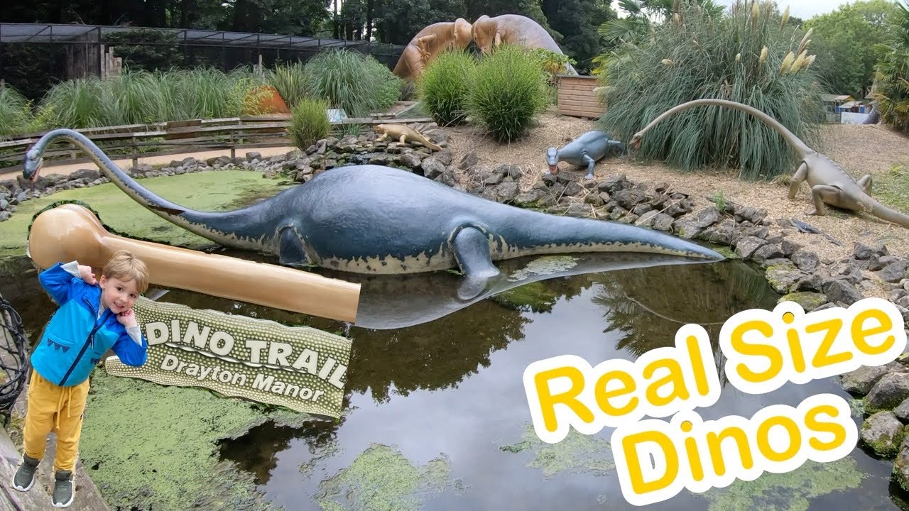 Kids dinosaur videos| Real size dinosaurs | Dinosaurs for kids - YouTube