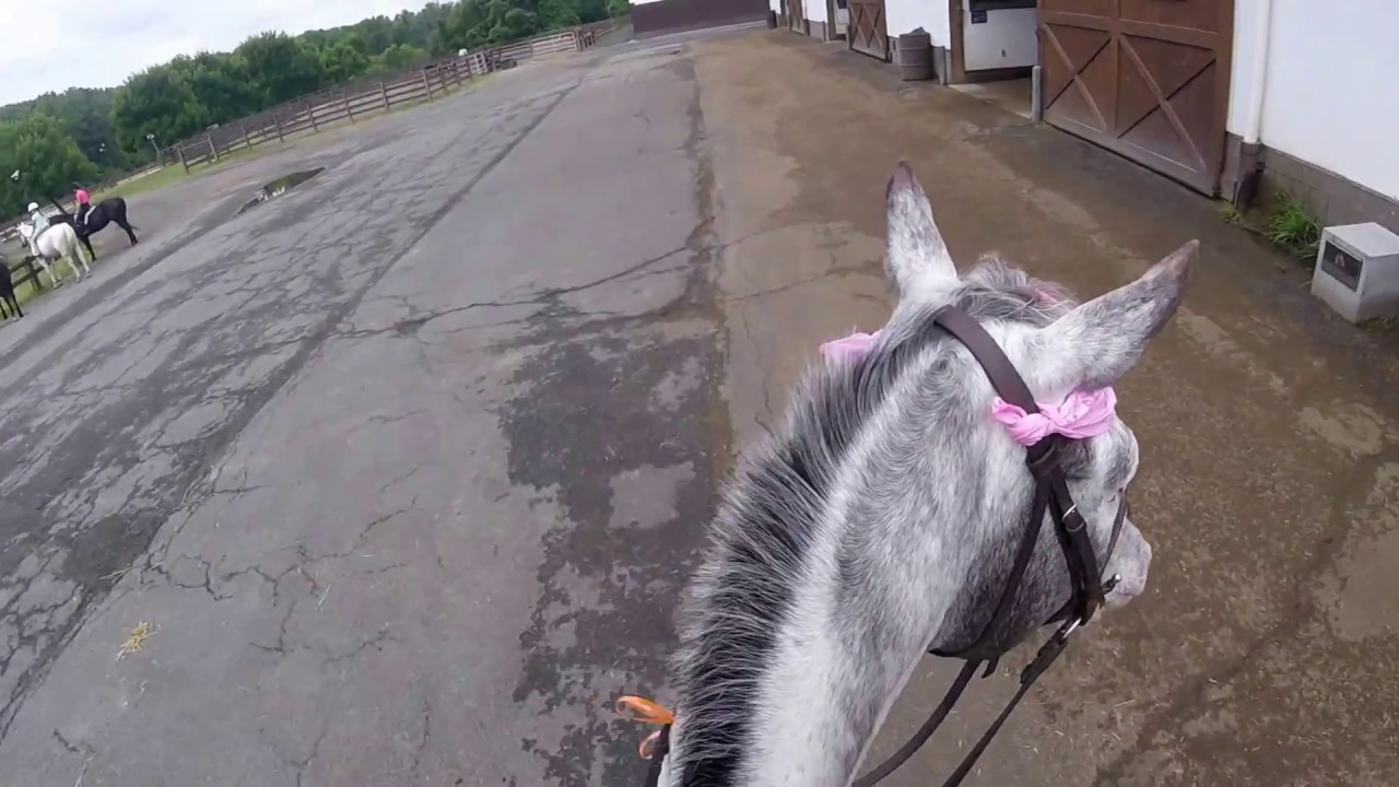 Watchung Stables - Kevin - YouTube